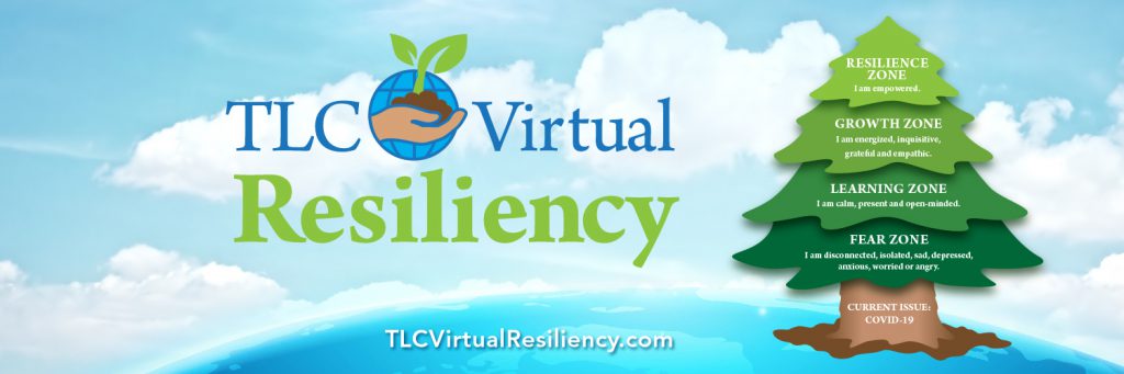 Resilience | TLC Virtual Resiliency